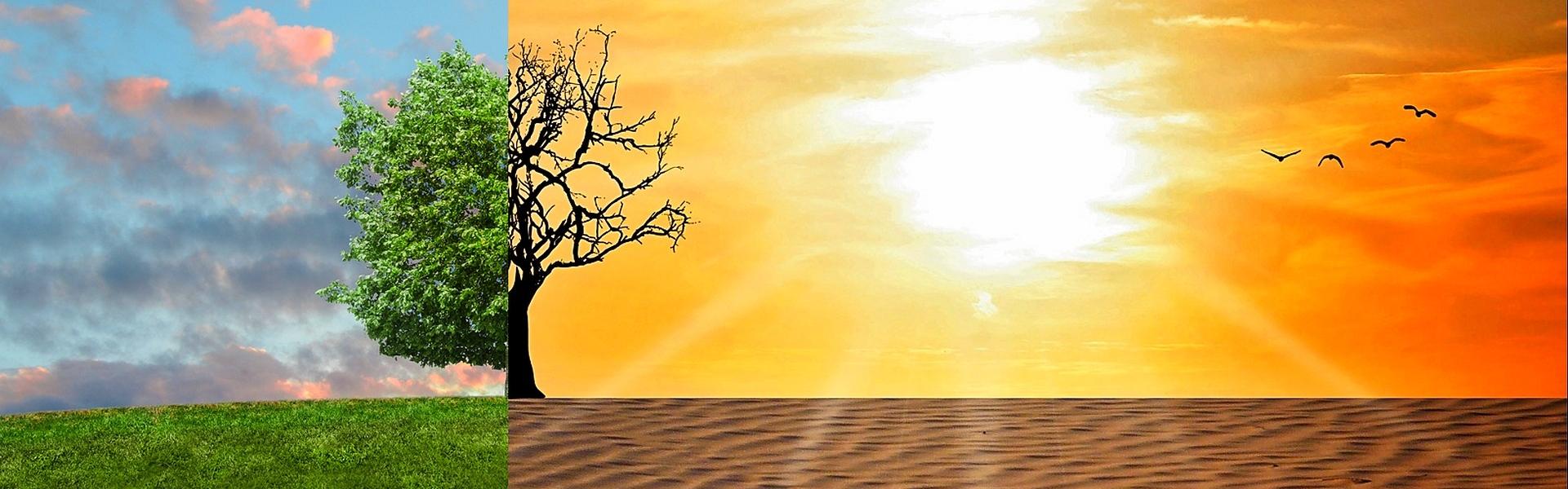 Clima: Información Actual Y Pronóstico Detallado